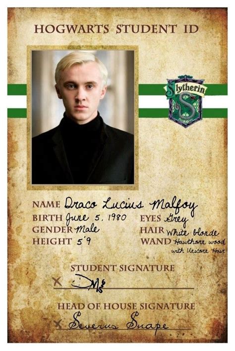 Hogwarts Student Artofit