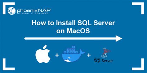 How To Install Sql Server On Macos Step By Step Guide