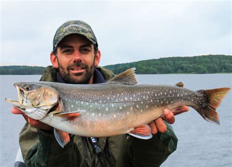 Arctic Char Dolly Varden Bull Trout And Salmon Differences