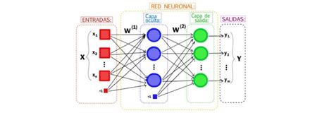 Entrenamiento De La Red Neuronal Artificial X Características De La Download Scientific
