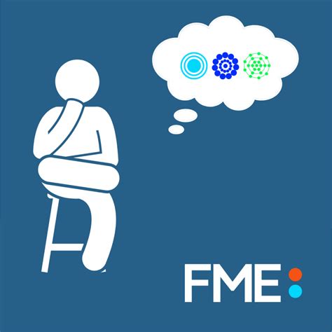 What Is Fme Locus Limited