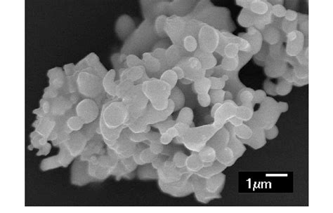 Fe Sem Micrograph Of Synthesized Zrb 2 Particles Download Scientific