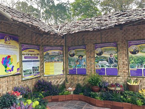 ศู ศูนย์ศึกษาการพัฒนาห้วยฮ่องไคร้อันเนื่องมาจากพระราชดำริ