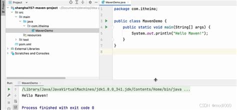 使用idea创建maven项目、maven坐标，以及导入maven项目idea Vue开发 Maven Csdn博客
