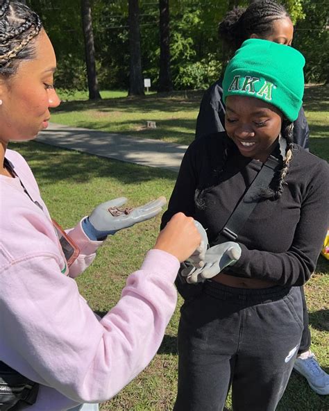 The Iota Phi Chapter Of Alpha Kappa Alpha Sorority Incorporated The