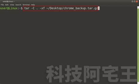 Chrome 備份 Google Chrome 備份設定檔 WindowsMacLinux 完整教學 科技阿宅王