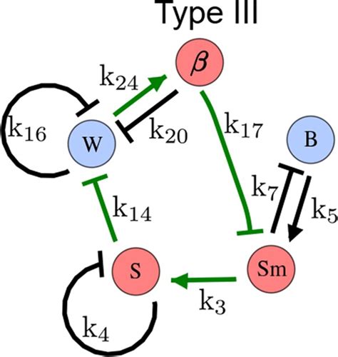 Figures And Data In High Throughput Mathematical Analysis Identifies