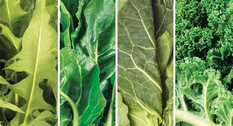 Produce Depot Greens Slide