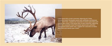 getting comfortable with css position property by ritika agrawal medium