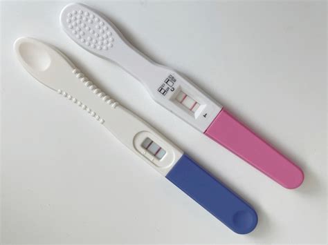 아기집 보이는 시기 아기집 두 개 쌍둥이임신 네이버 블로그