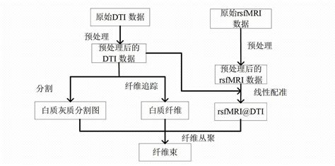 Diffusion Tensor Imaging White Matter Fiber Clustering Method Eureka Patsnap