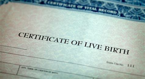 Identification Number On Birth Certificate Everything You Need To