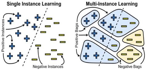A Comprehensive Review On Multiple Instance Learning