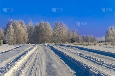 积雪覆盖的冬季道路两旁都是树