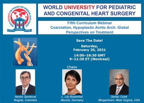 Coarctation Hypoplastic Aortic Arch Global Perspectives On Treatment