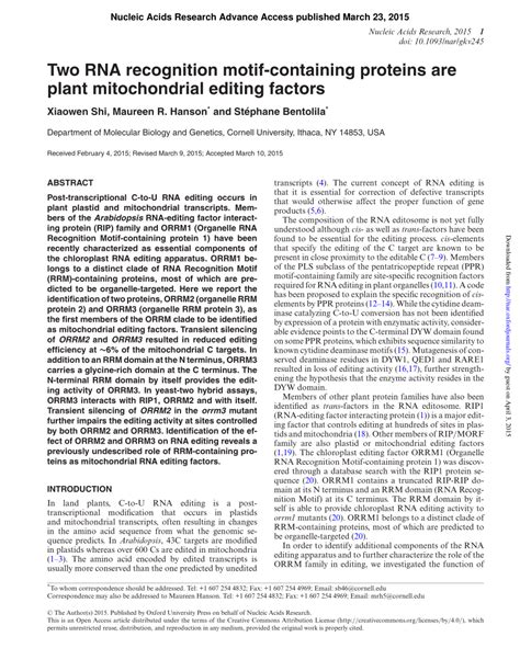 Pdf Two Rna Recognition Motif Containing Proteins Are Plant