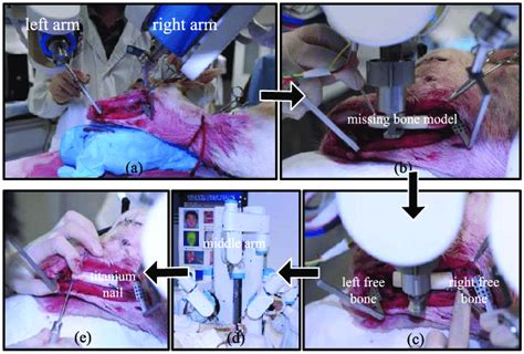 Flow Chart Of Cooperative Manipulation Of Manipulator Download Scientific Diagram