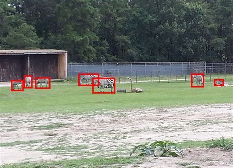 Grit Teaching Mllms To Think With Images