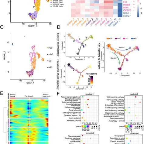 Comparison Of Differed Cell Type Expression Profiles Between Single And