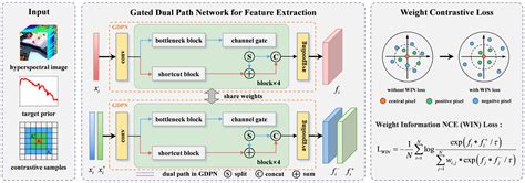 Contrastive Learning Based Hyperspectral Image Target Detection Using A Gated Dual Path Network