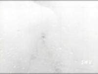 Libertad Leblanc Nude Celebrities Forum Famousboard Com