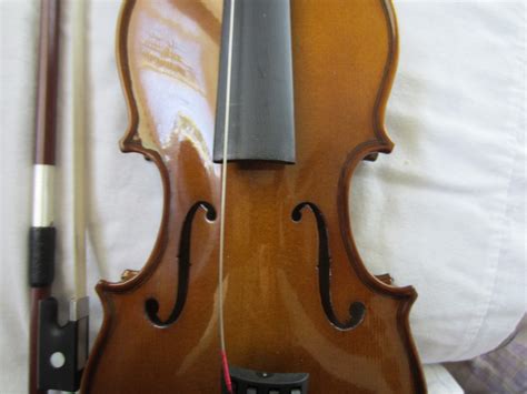 Violin For Beginners The Violin