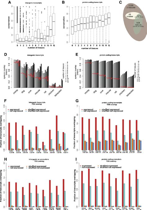 Conservation Of Expressed Noncoding Rna Transcripts A B Box