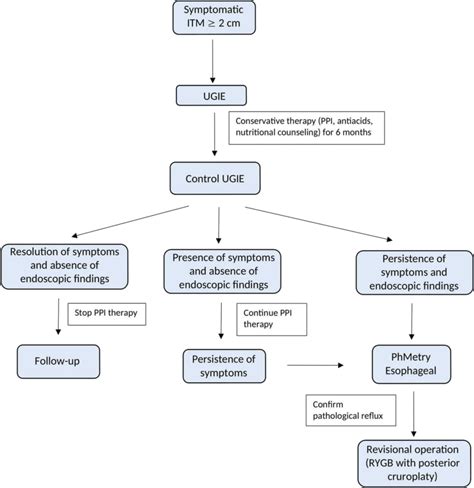 Pathophysiology Of Gastroesophageal Reflux Disease In 41 Off