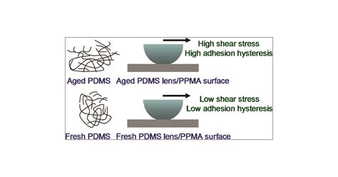 Unusual Surface Aging Of Poly Dimethylsiloxane Elastomers Macromolecules