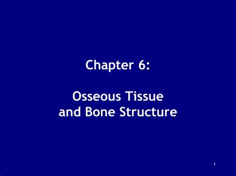 PPT Chapter 6 Osseous Tissue And Bone Structure PowerPoint Presentation ID 793712