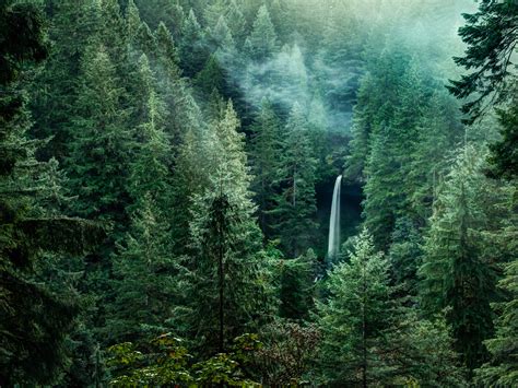 Pacific Northwest Wallpapers 4k Hd Backgrounds On Wallpaperbat