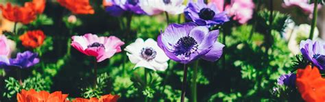 Data Science Van Data Praktische Inzichten Modellen En Systemen Digital Power