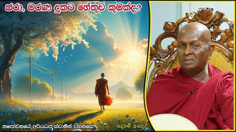 ජරා මරණ දුකට හේතුව කුමක්ද30පූජ්‍ය තපෝවනයේ අරියධජ හිමි Youtube