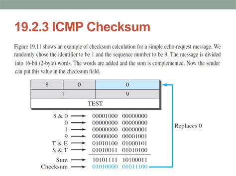 19 Network Layer Protocols Pptx