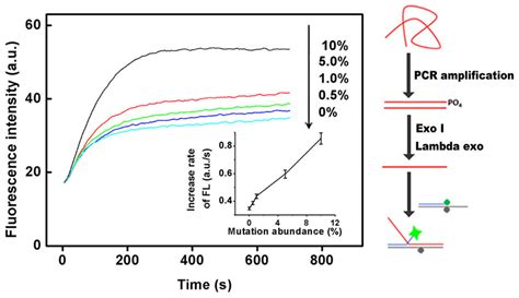 Post Pcr Detection Of Low Abundance Point Mutations Another Egfr