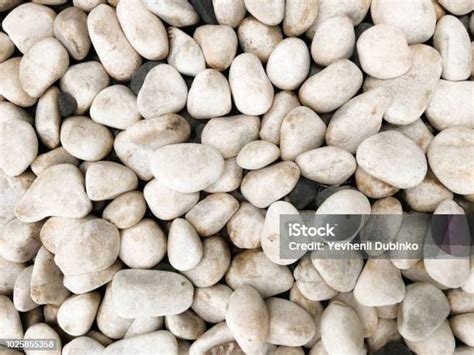 부드럽고 둥근 바다 자갈 텍스처입니다 흰색과 검은색 돌 바다 자갈 배경 0명에 대한 스톡 사진 및 기타 이미지 0명 강