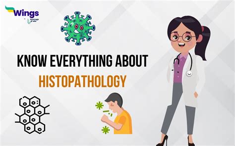 Histopathology Meaning Techniques Results Leverage Edu