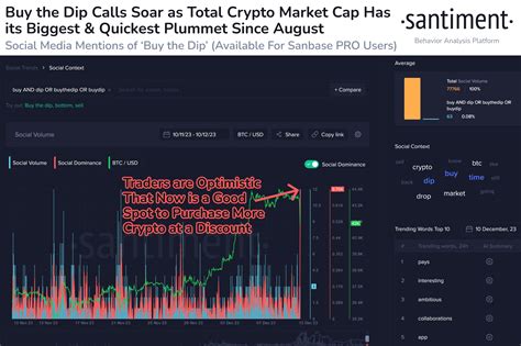Crypto Market Crashes Traders React With Buy The Dip” Calls