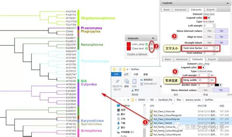 treeview控件怎么使用修改发育树 phylosuite在手，建树不愁：从数据下载到系统发育树美化（单基因建树篇） weixin