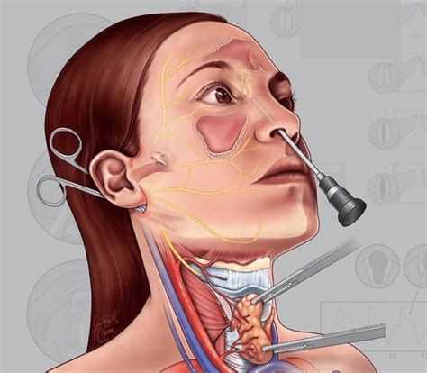 Head And Neck Surgery In Jalandhar Thyroid And Ent Specialist
