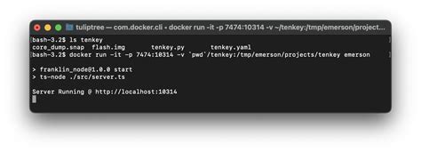 Running With A Peripheral Device
