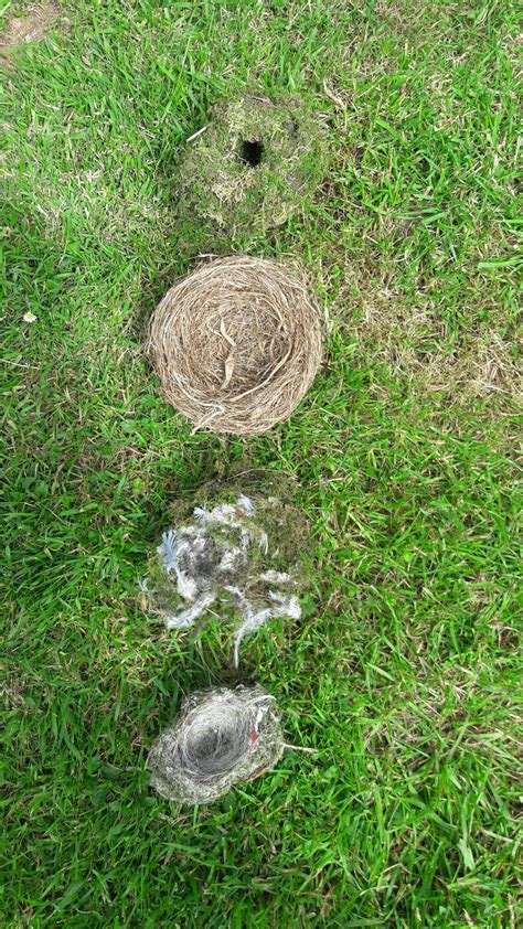 Nestjs Challenge Take The Steps Developing A Rest Api Devxperiences