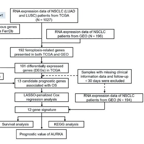 Flowchart Of The Bioinformatics Analysis Download Scientific Diagram