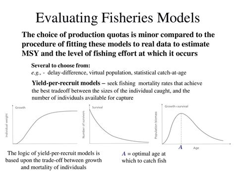 Fisheries Models To Produce A Good Fisheries Model We Must Account For All Contributions To