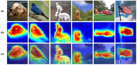 Multi View Masked Autoencoder For General Image Representation