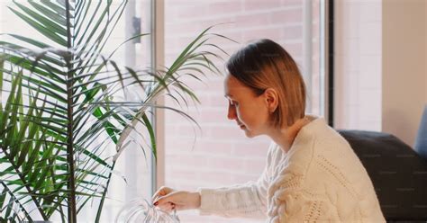 행복한 백인 여자는 냄비에 녹색 가정 식물에 유리 항아리에서 물을 붓습니다 아파트 하우스 인테리어 실내에 있는 대형 관엽식물 하우에아 야자수 환경에 대한 관심 취미