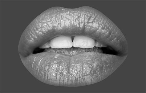 Female Lips Close Up Macro Sensual Womens Open Mouth Stock Image Image Of Woman Lips