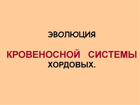 Эволюция кровеносной системы Хордовых презентация онлайн