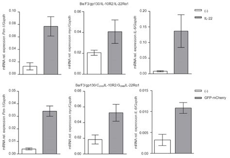 Verification Of Microarray Data By Quantification Of Mrna Expression Of Download Scientific
