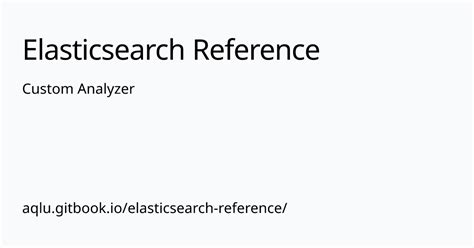 Custom Analyzer Elasticsearch Reference